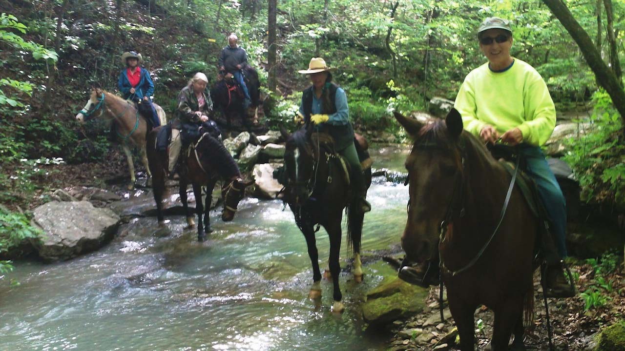 Arkansas BCHA Hosts Annual Meeting at Cowboy Up Trails | Arkansas Back ...